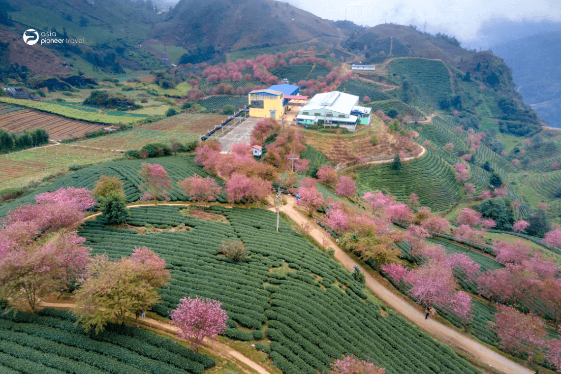 Top 12 Best Things To Do In Sapa | Asia Pioneer Travel