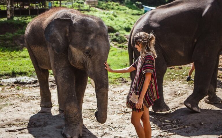 Thailand Elephant Sanctuary - Top 10 Ethical Places To Visit | Asia ...
