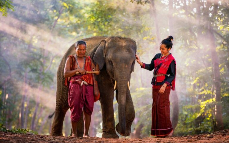 Thailand Elephant Sanctuary - Top 10 Ethical Places To Visit | Asia ...